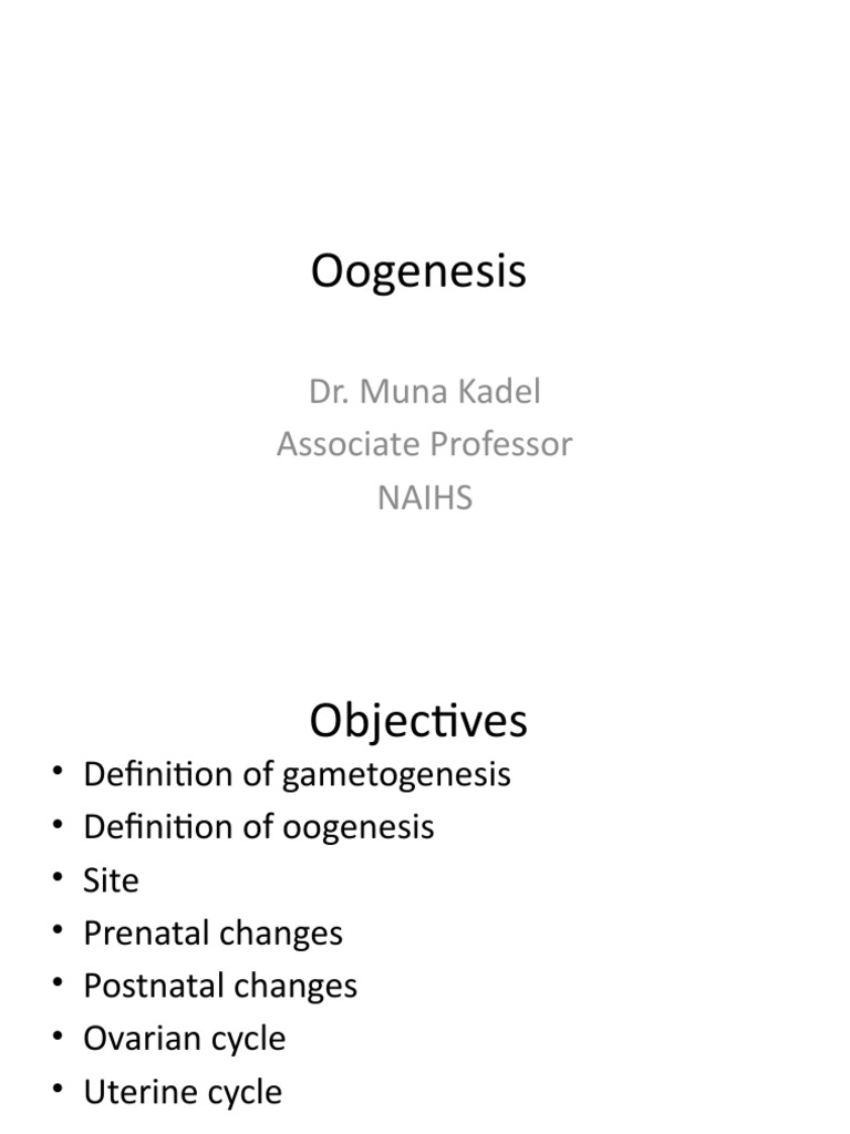 Oogenesis | PDF | Meiosis | Ovary