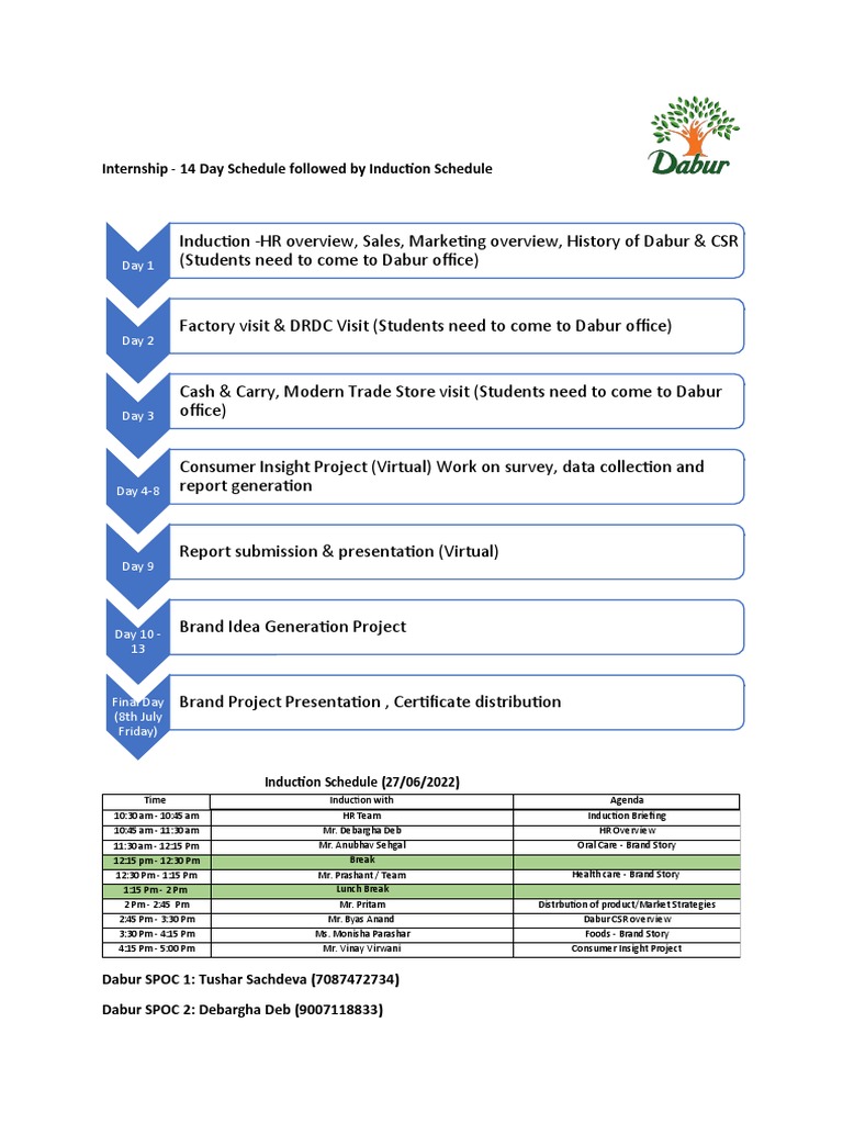 Induction and Internship Plan | PDF