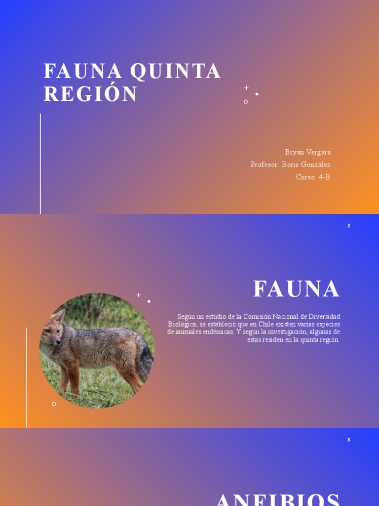 Fauna Quinta Región | PDF | Rana | Andes