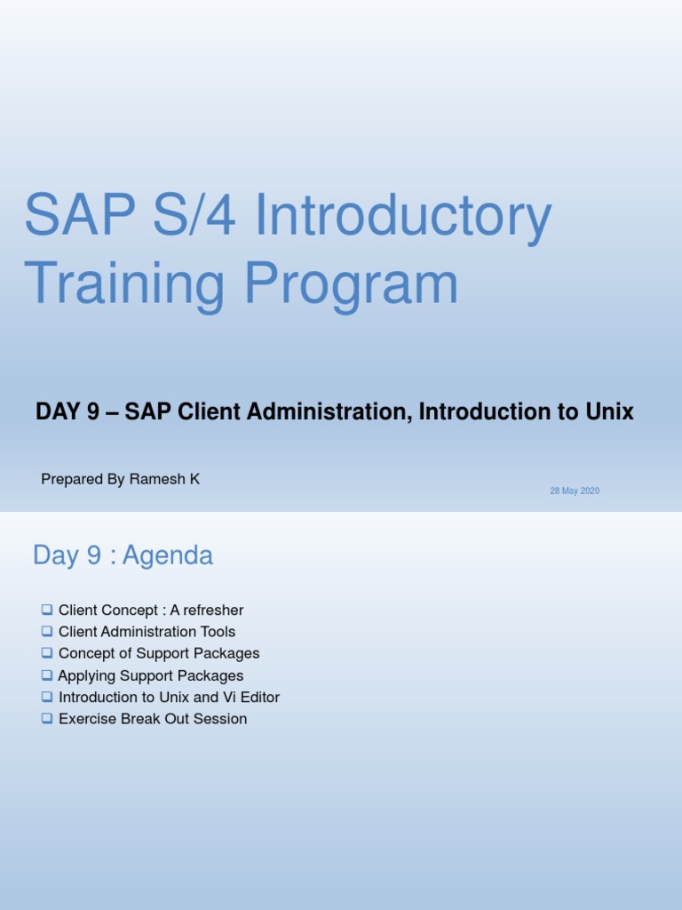 SAP S4 HANA - CLients - Upgrades - Day 9 | PDF | Computer File ...