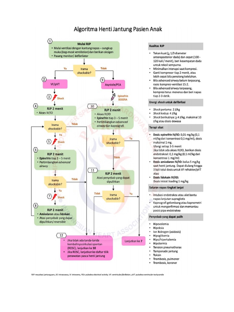 Algoritma Henti Jantung Anak | PDF