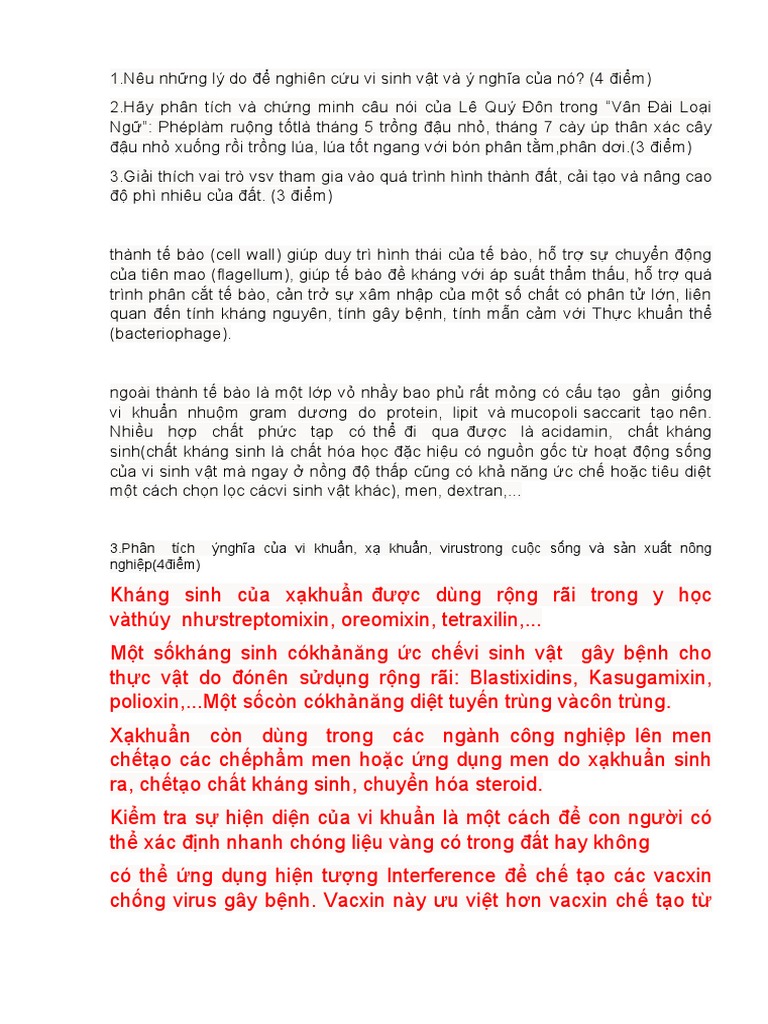 vsv đất | PDF
