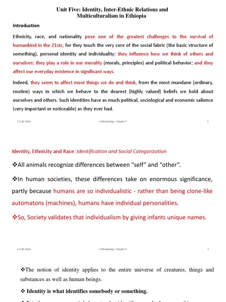 Anthropology Chapter 5 | PDF | Race (Human Categorization) | Ethnic Groups