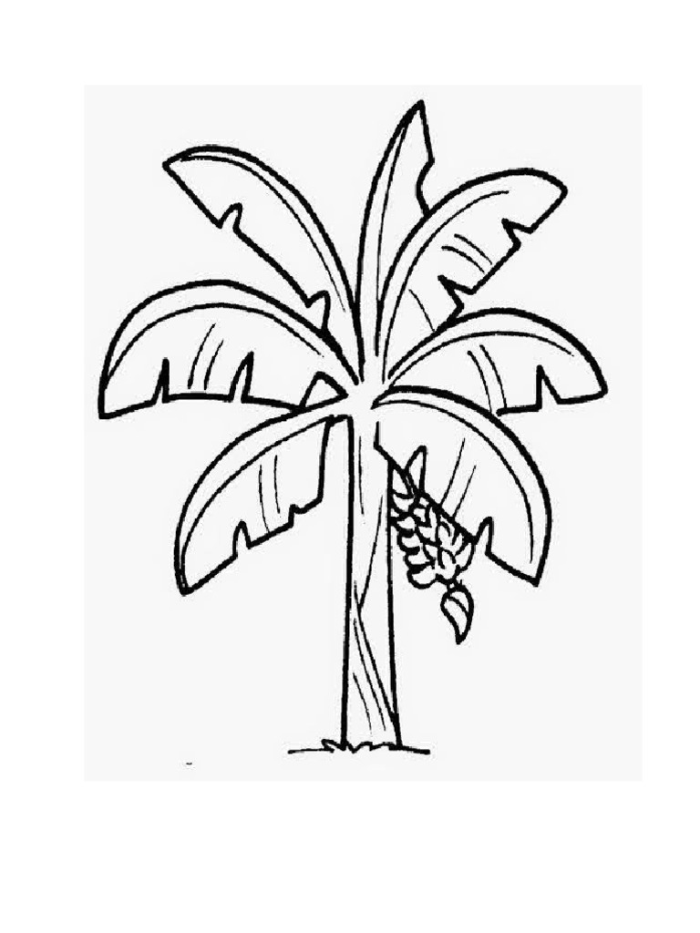 Pohon Pisang | PDF