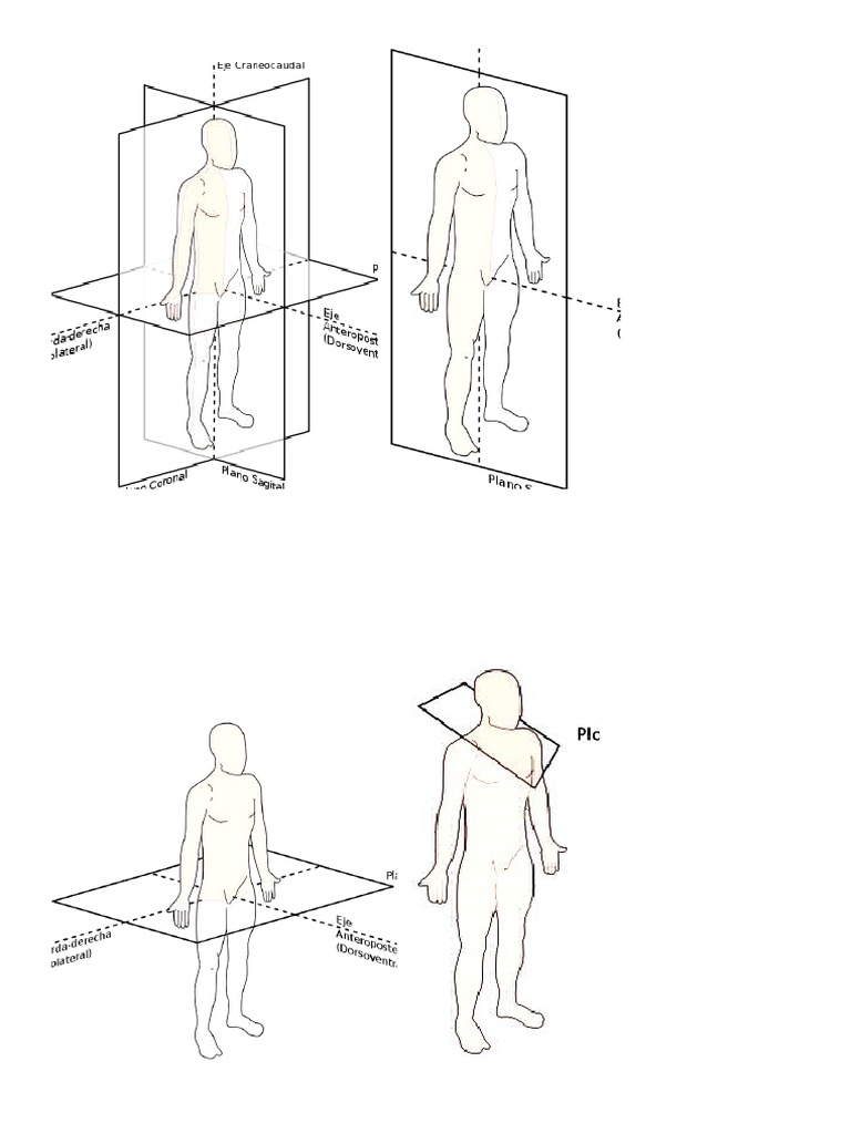 Dibujos de Planos | PDF