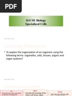 Specialised Animal Cells - Living Organisms - KS3 Biology - BBC ...