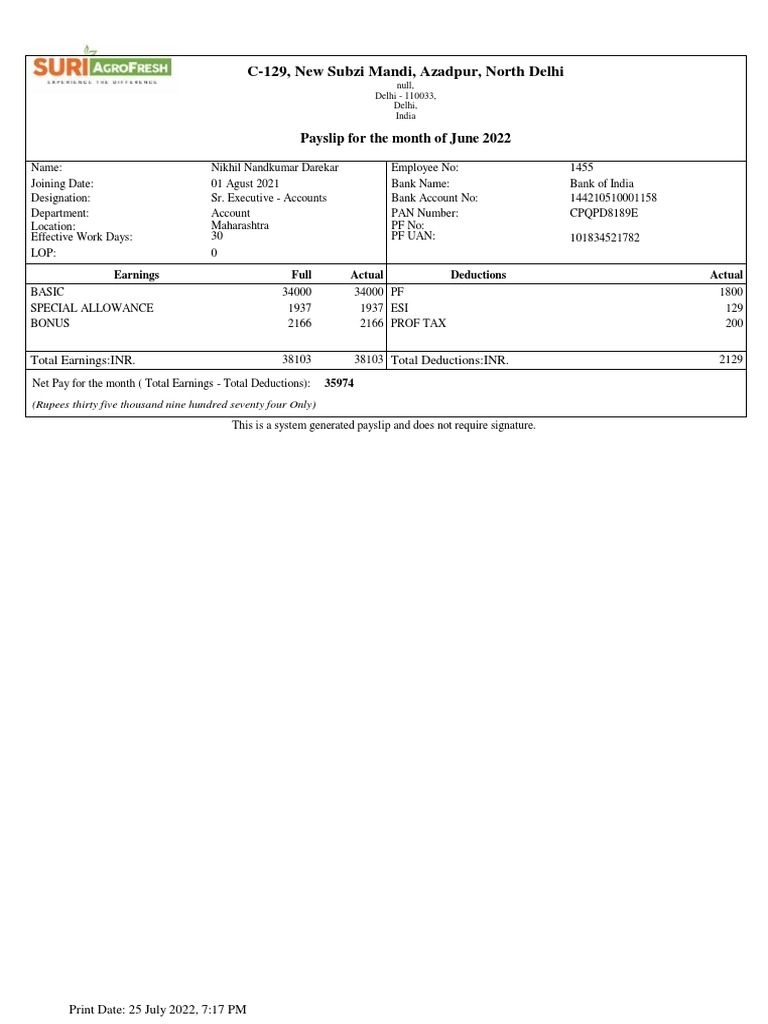 Payslip June.2022 | PDF