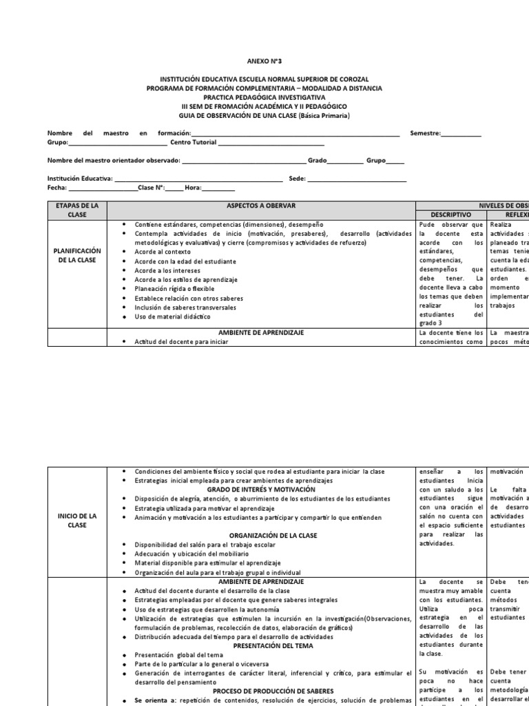 Guía de Observación para Clases de Primaria | PDF | Maestros | Aprendizaje