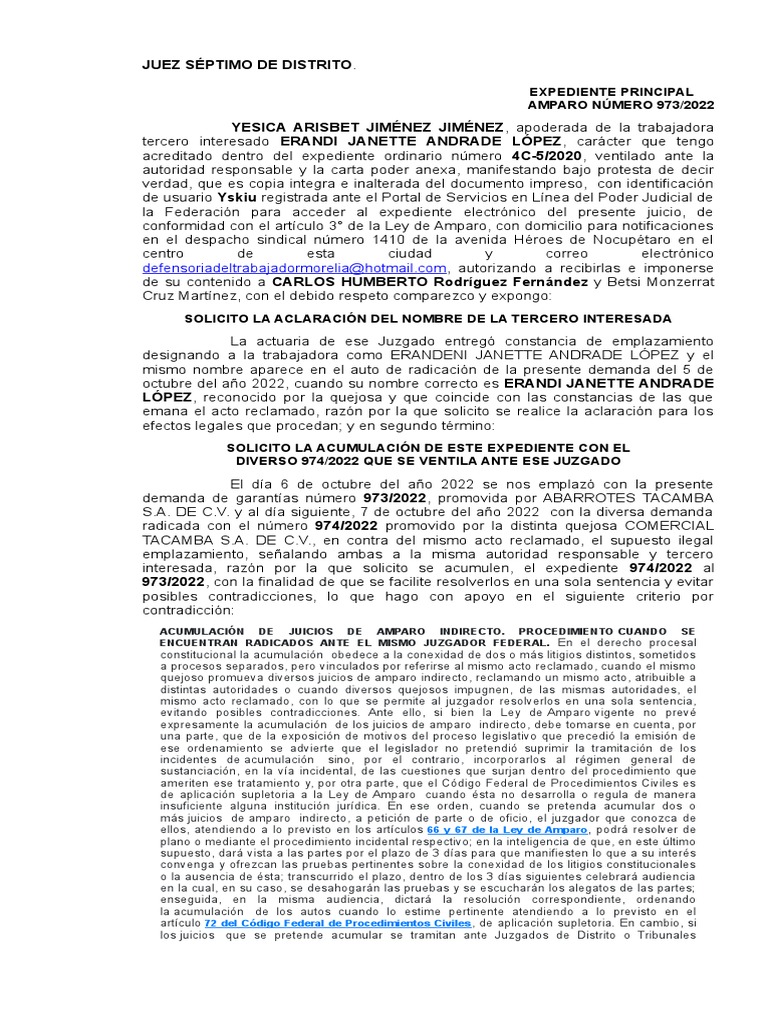 Erandi Janette Lopez Constitucional | PDF | Caso de ley | Demanda judicial