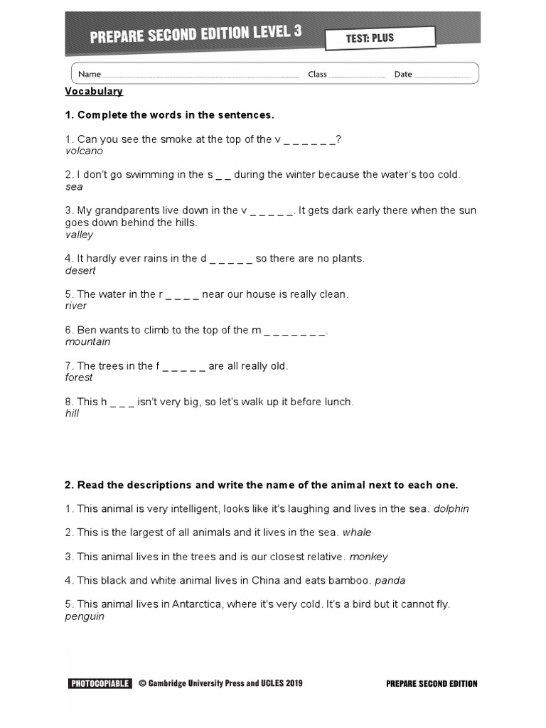Full PRE-UT-U2P Unit 2 Plus Test With Answers A | PDF | Elephant ...