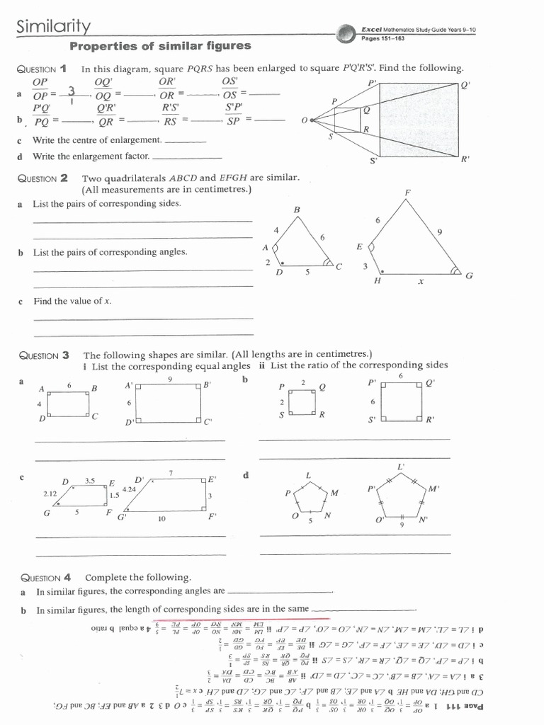 Worksheet - Properties of Similar Shapes and Similar Shapes | PDF