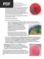 Tabla de Medios de Cultivo | PDF | Microbiología | Biología