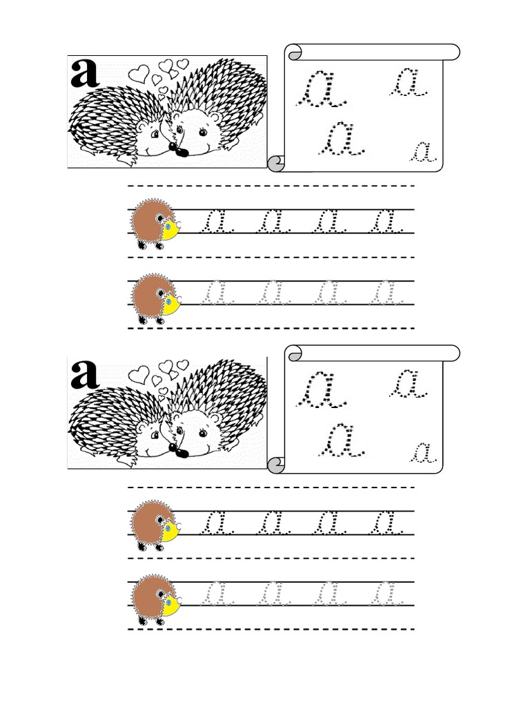 Fisa A Mic de Mana | PDF