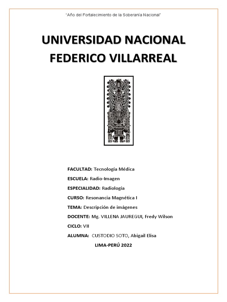 Descripcion de Imagen CUSTODIO SOTO Abigail | PDF