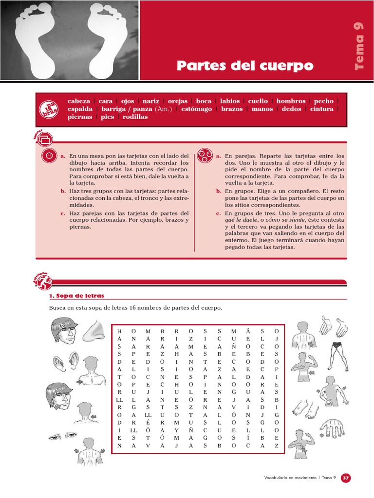 Partes del Cuerpo: Actividades y Juegos | PDF | Anatomía