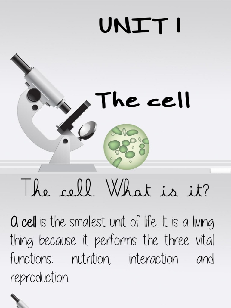Unit 1 - The Cell A | PDF