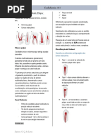 Anatomia do Dente 27: Molar Superior | PDF | Raiz | Dente