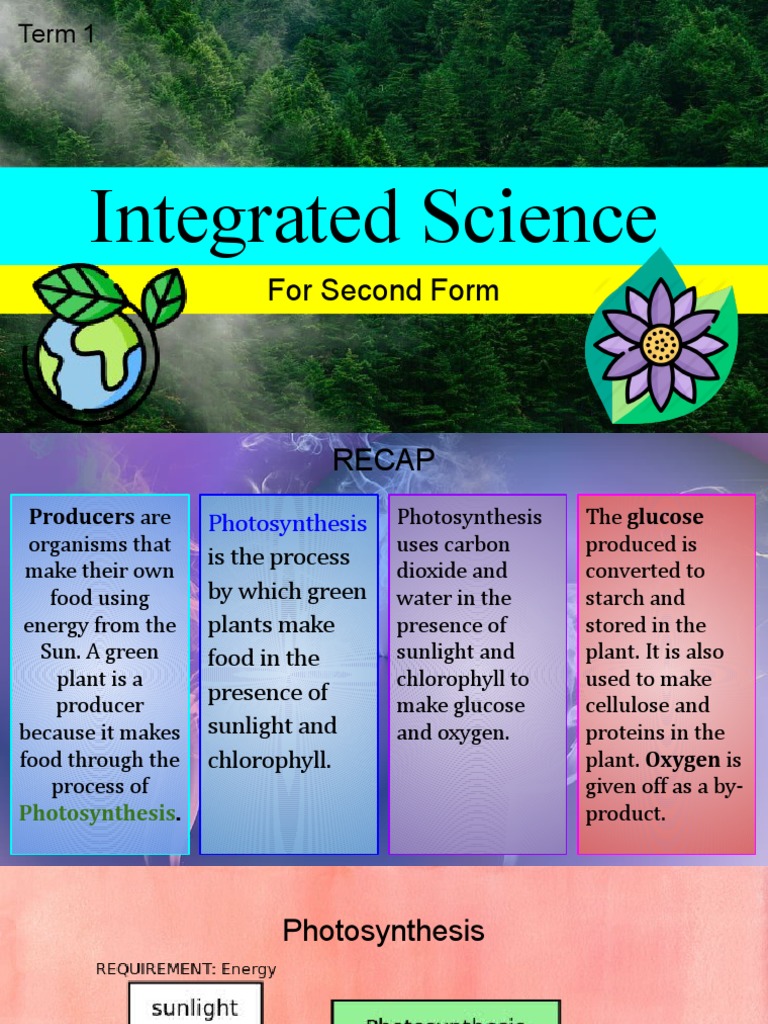 Adaptation of The Leaves | PDF | Home & Garden | Science & Mathematics