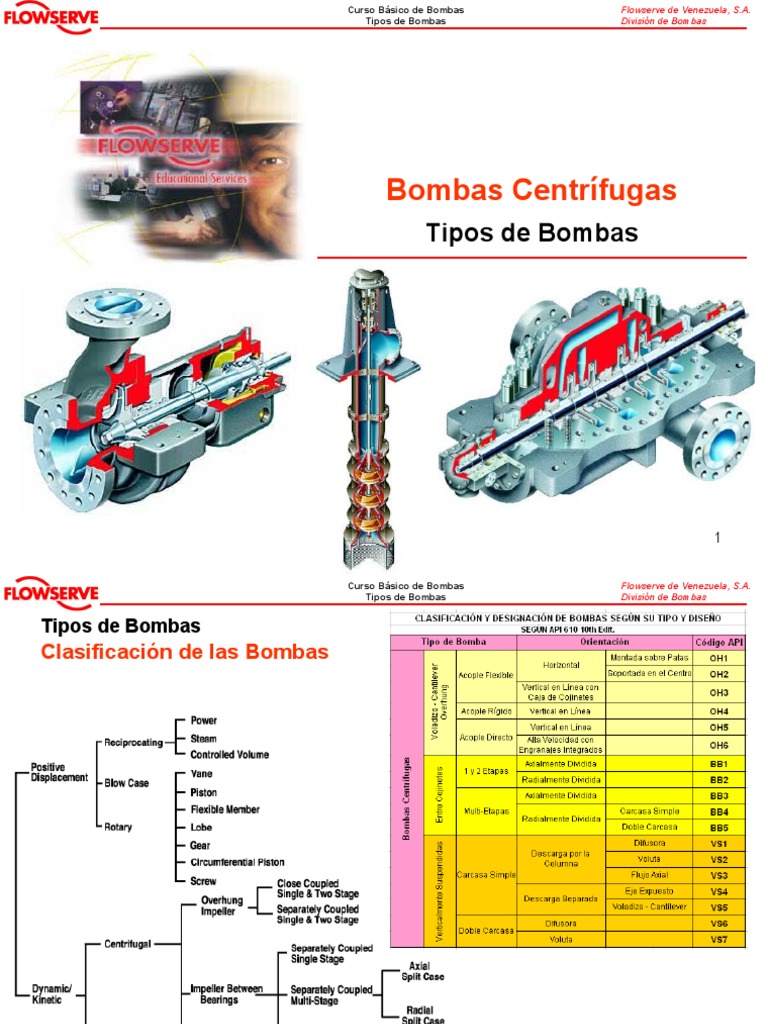 2 - Tipos de Bombas | PDF | Bomba | Rodamiento (Mecánico)
