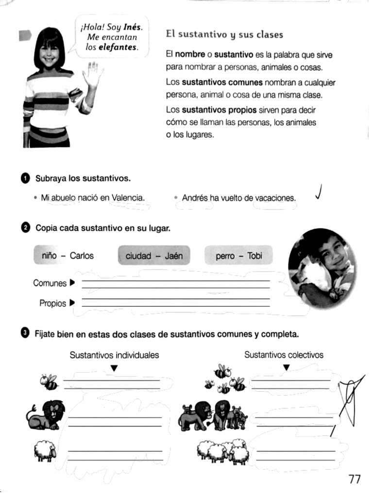 Actividades Lengua 3 Primaria | PDF | Gramática | Mecánica del lenguaje
