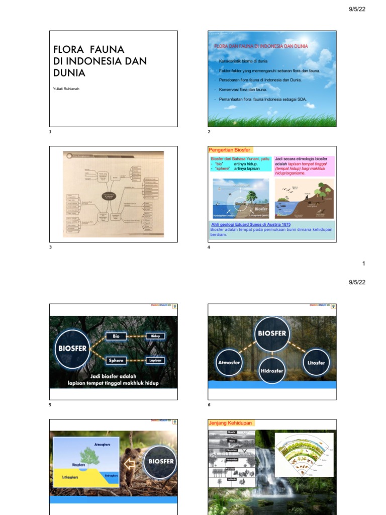 Persebaran Bioma Flora dan Fauna | PDF