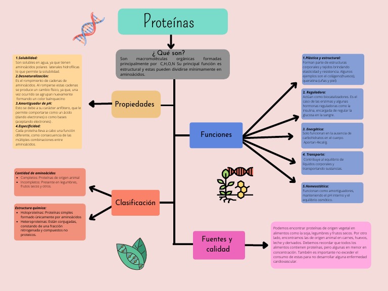Mapa Mental Proteinas | PDF | Proteínas | Biomoléculas