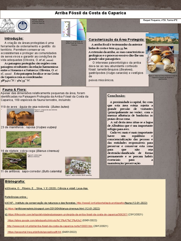 Modelo Poster Áreas Protegidas em Portugal - Arriba Fossil | PDF | Fóssil | Área protegida