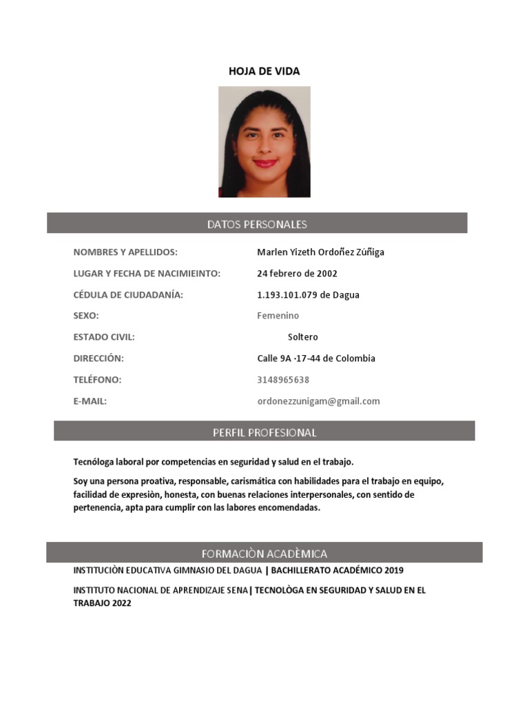 X5 Formato Hoja de Vida Basica y Formal | PDF