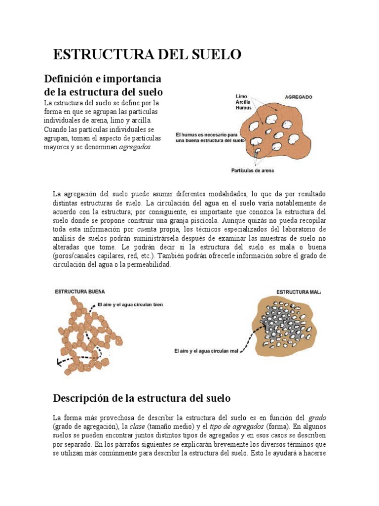 Estructura Del Suelo | PDF | Suelo | Agua