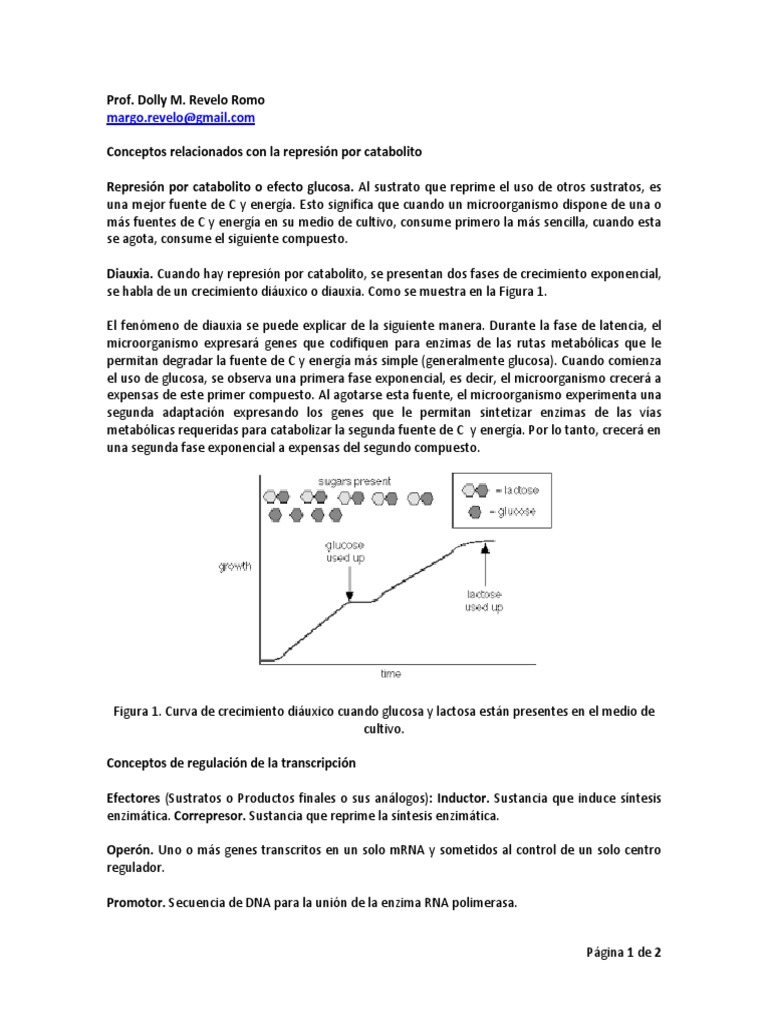 Conceptos Represión Por Catabolito | PDF | Operón | Genética