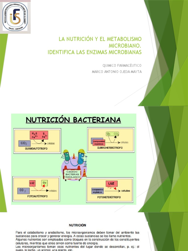 Analisis Microbiano | PDF | Relaciones personales, crianza y desarrollo personal
