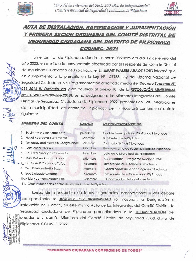 Acta de Instalacion | PDF