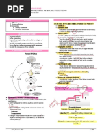 IOTA - Simple - Rules - Susanne - Johnson 2 PDF | PDF | Ovarian Cancer ...