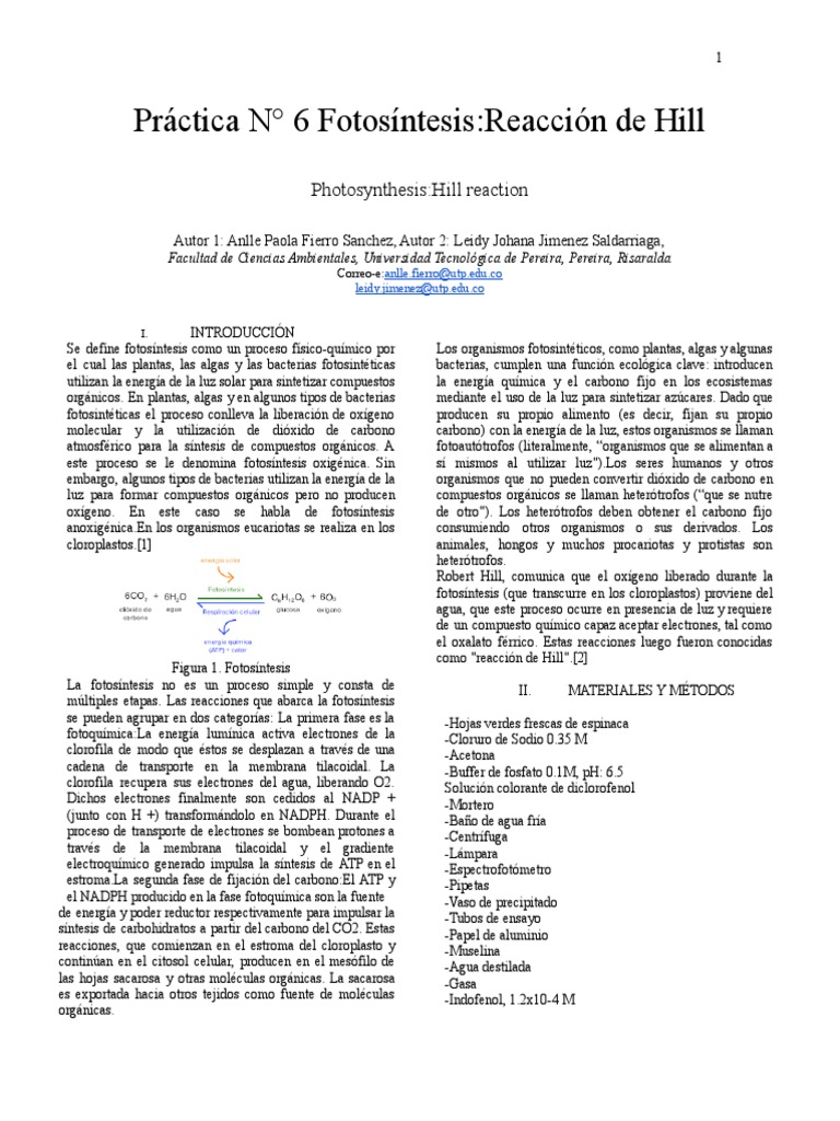 Reacción de Hill en Fotosíntesis | PDF | Fotosíntesis | Clorofila