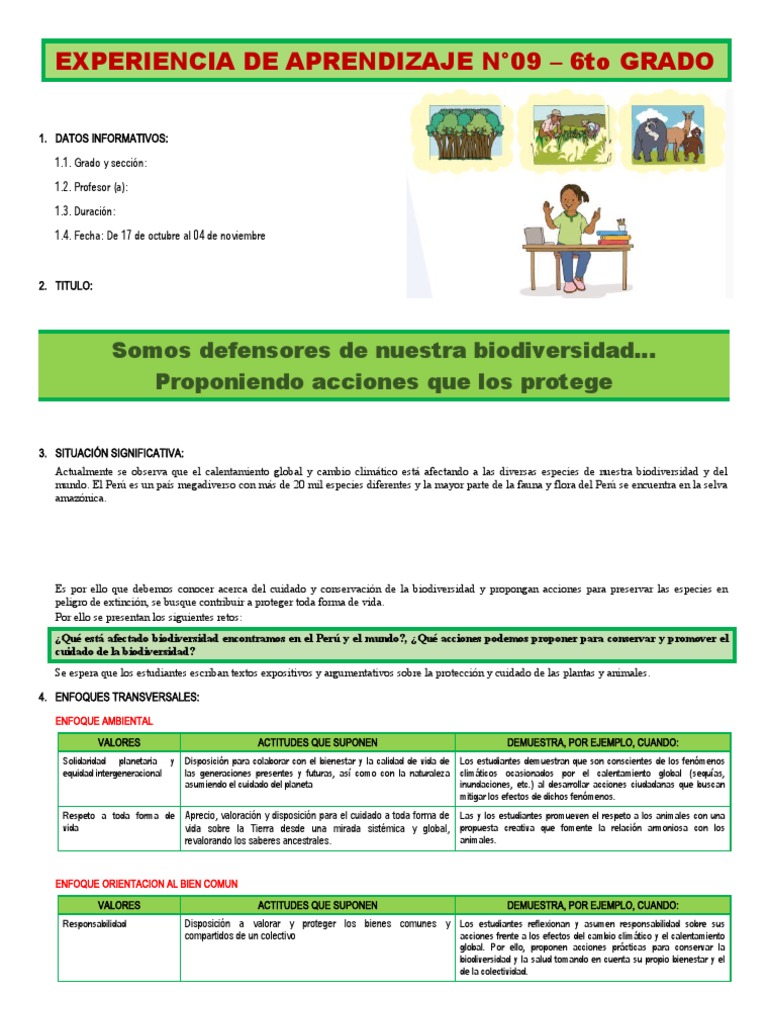 6° Grado - Experiencia de Aprendizaje N°09 | PDF | Geometria plana) | Decimal