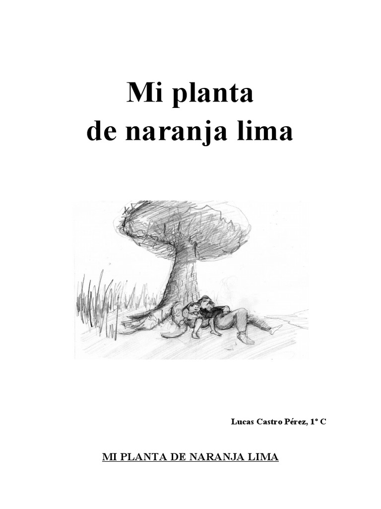 Mi Planta de Naranja Lima | PDF