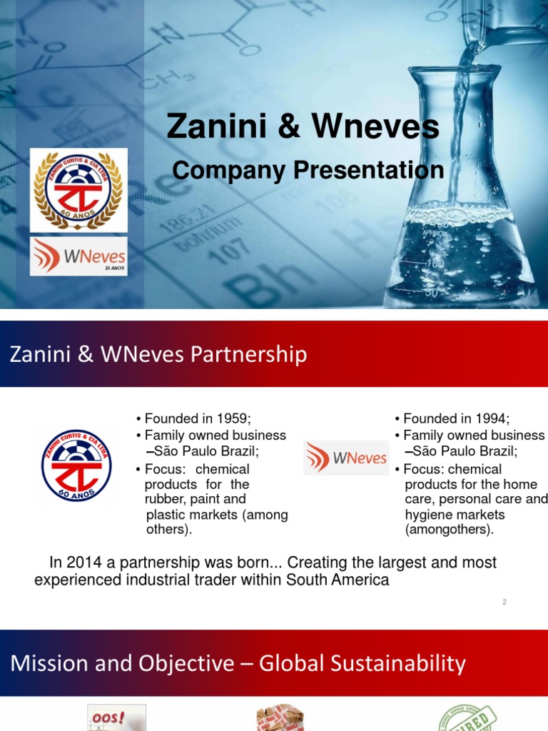 Company Presentation Zanini X WNeves - v2022 | PDF