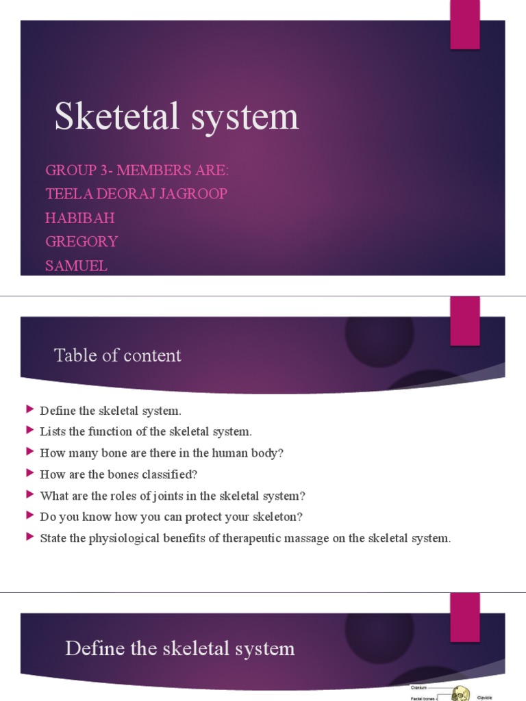 Sketetal System | PDF | Skeleton | Bone