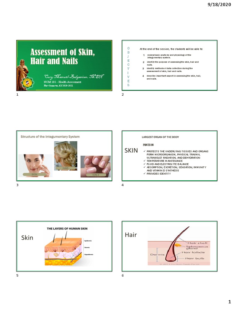 Skin, Hair, Nails Assessment Notes | PDF | Nail (Anatomy) | Hair