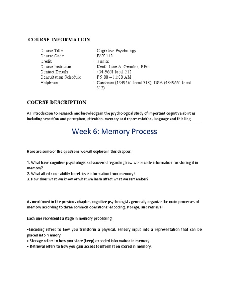 Memory Process | PDF | Memory | Recall (Memory)
