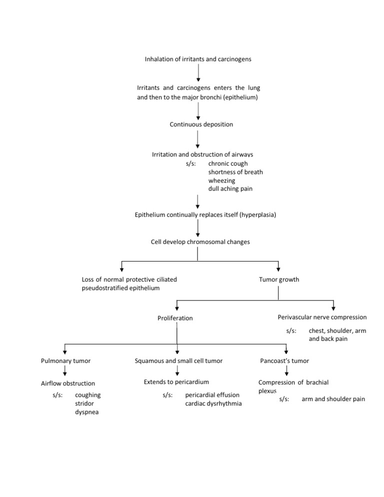 Patho (Lung Cancer) | PDF