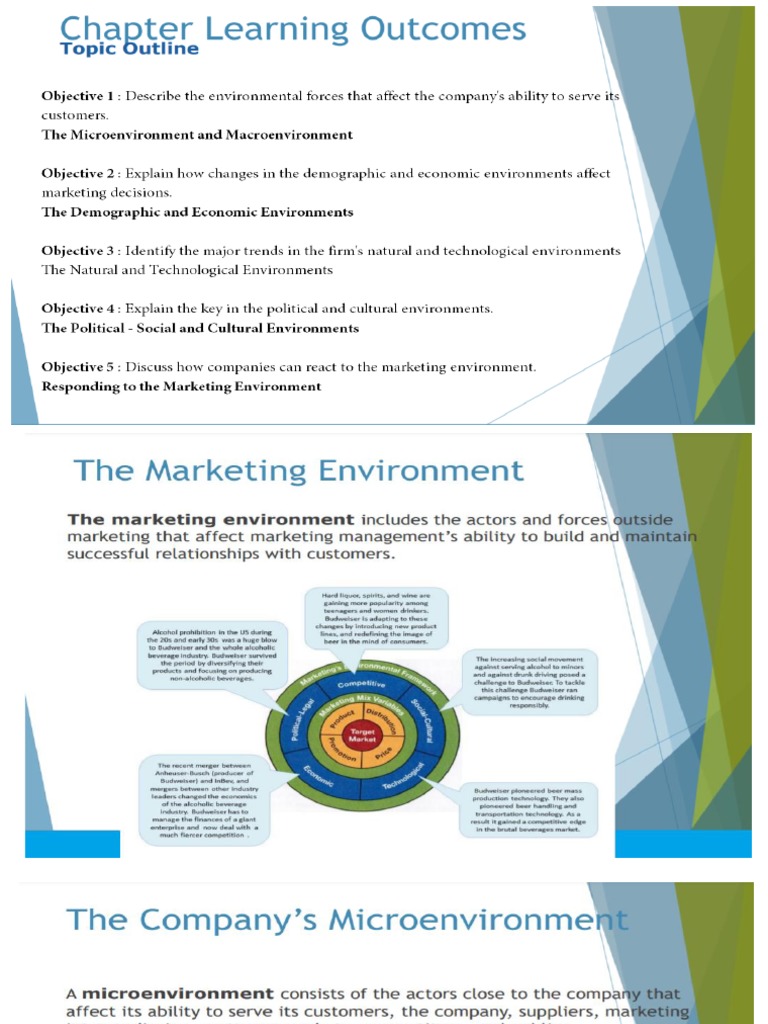 Chapter 3 Analyzing The Marketing Environment Pdf