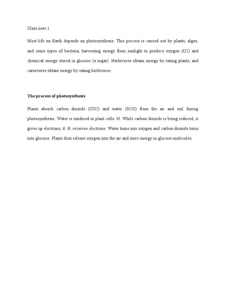 Class Note 1 - The Process of Photosynthesis | PDF