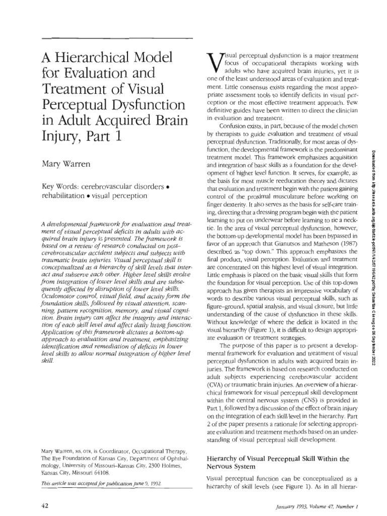 Visual Perceptual Dysfunction Framework | PDF | Contrast (Vision ...