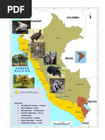Mapa de La Selva Peruana | PDF