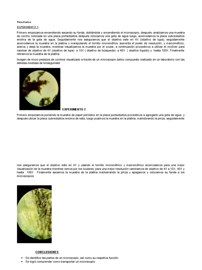 Microscopio Concluciones y Resultados | PDF