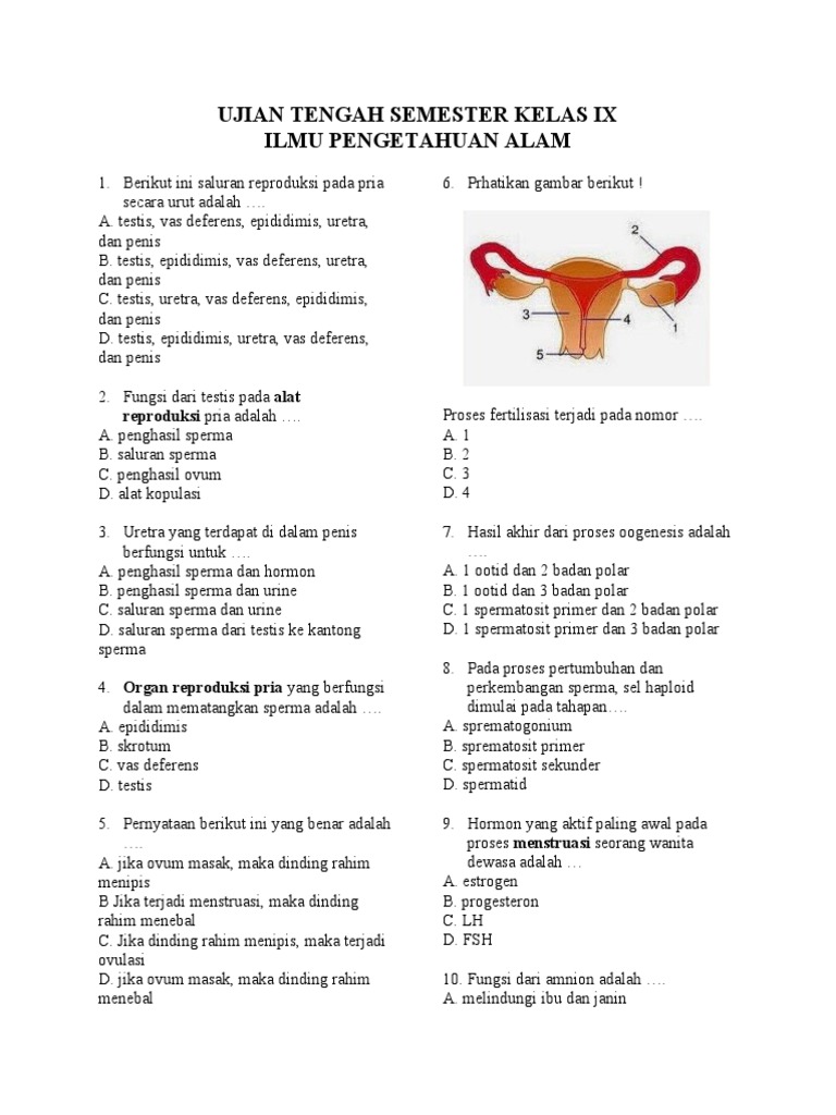 Uts Ipa KLS 9 Revisi | PDF