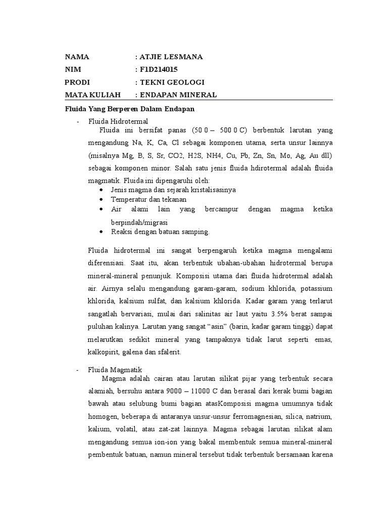 Tugas 1 Tipe Fluida Amp Proses Pembentukan Endapan Minera PDF Free | PDF