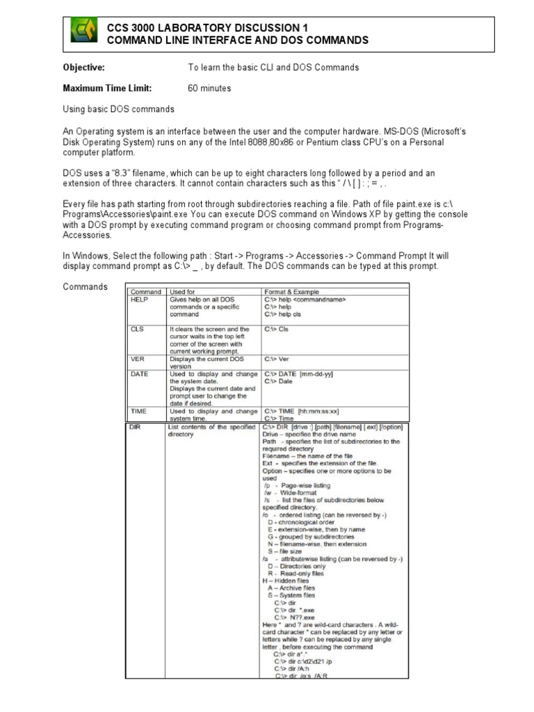 Ccs 3000 Laboratory Discussion 1 | PDF