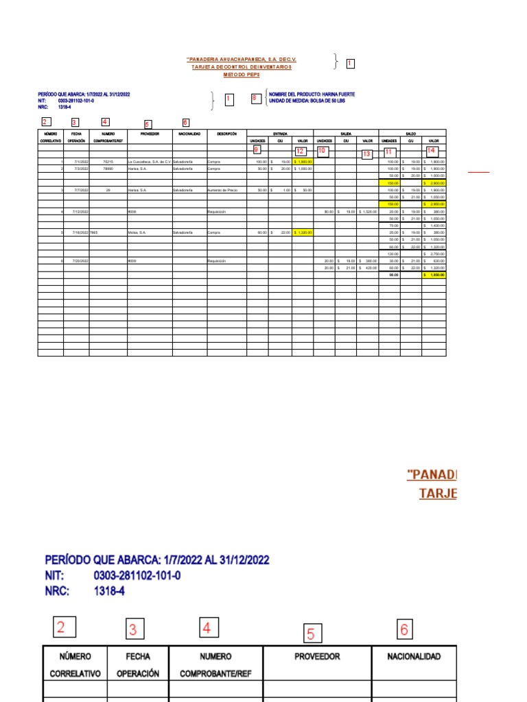Kardex Caso Práctico | PDF